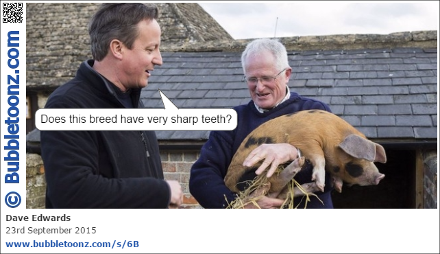 Bubbletoonz | David Cameron selects a new pig | cameron, pig, piers ...